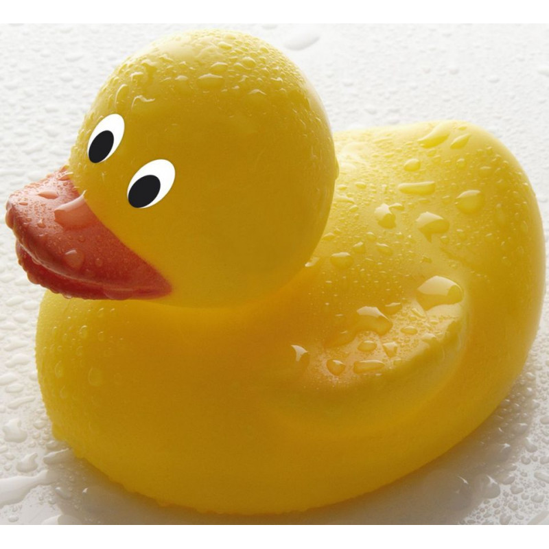 badeænder med logo tryk - badeand med reklamer - ænder - and